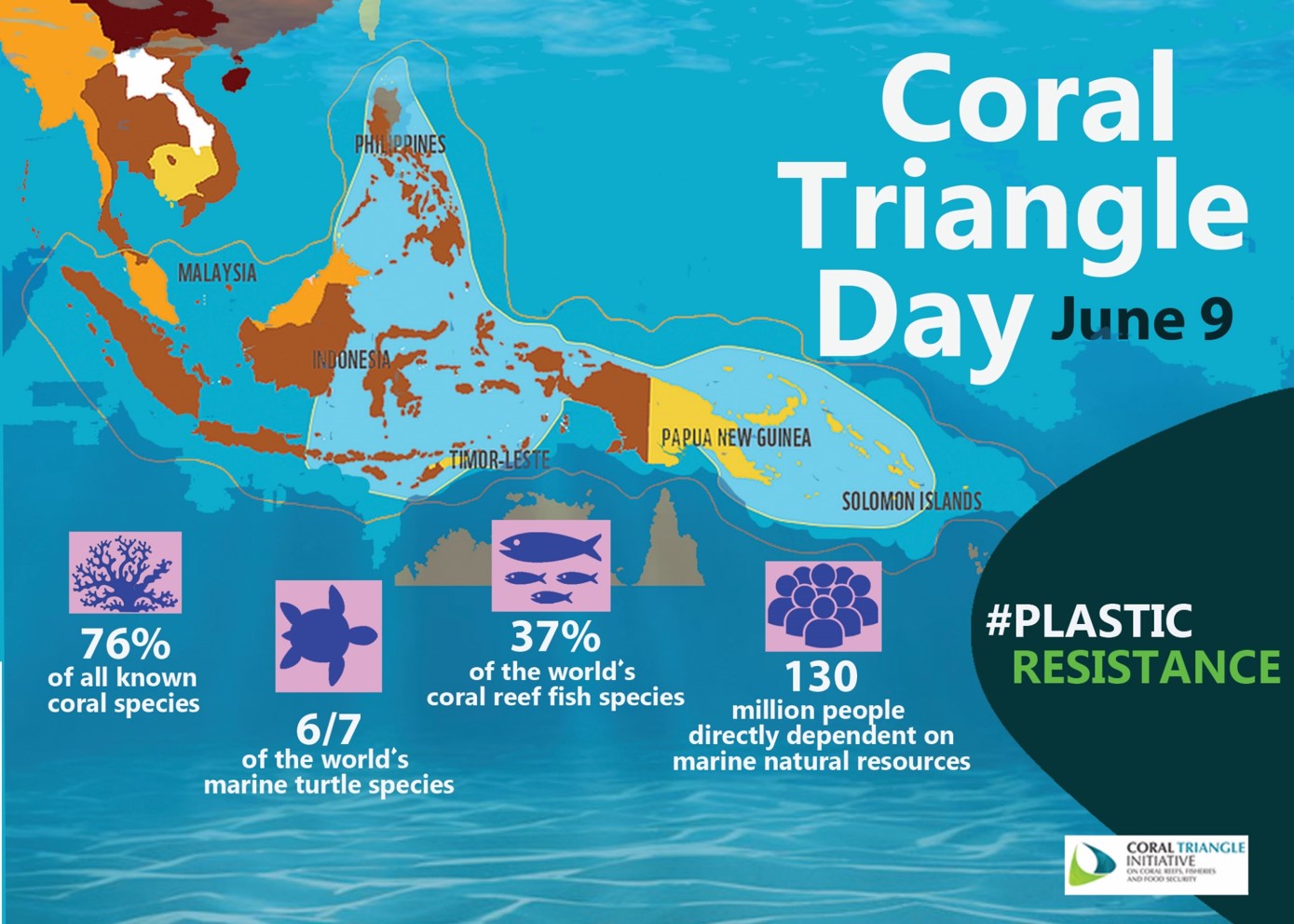 The Coral Triangle, The Rajah Ampat and Wayag Island | spiceislandsblog