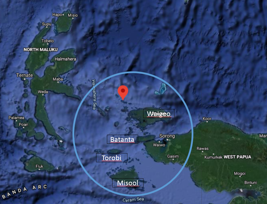 The Coral Triangle, The Rajah Ampat and Wayag Island | spiceislandsblog